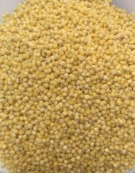 Rye Kernels – Yellow Submarine